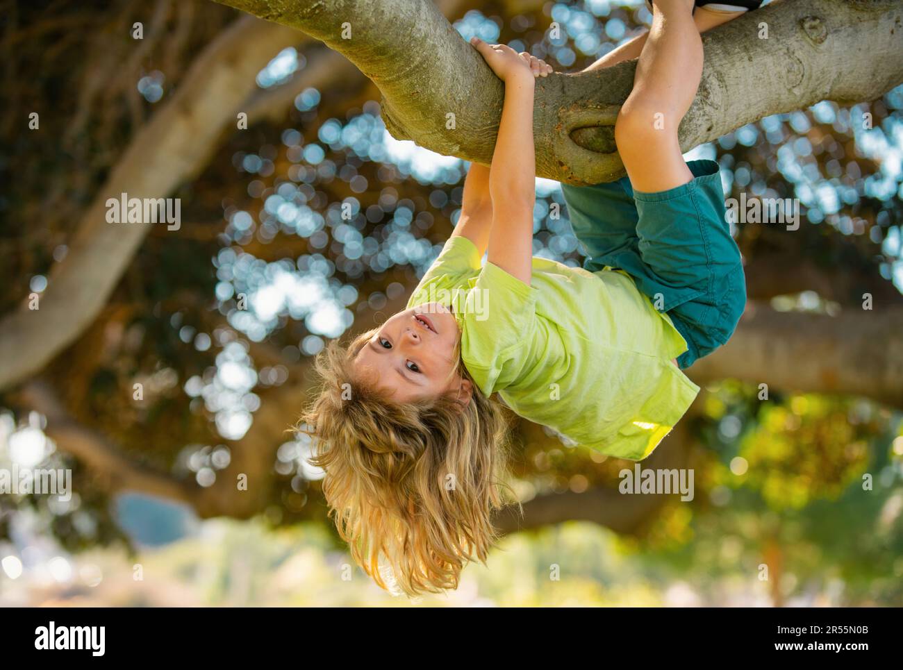 Cute blonde child boy hangs on a tree branch. Summer holidays, little ...