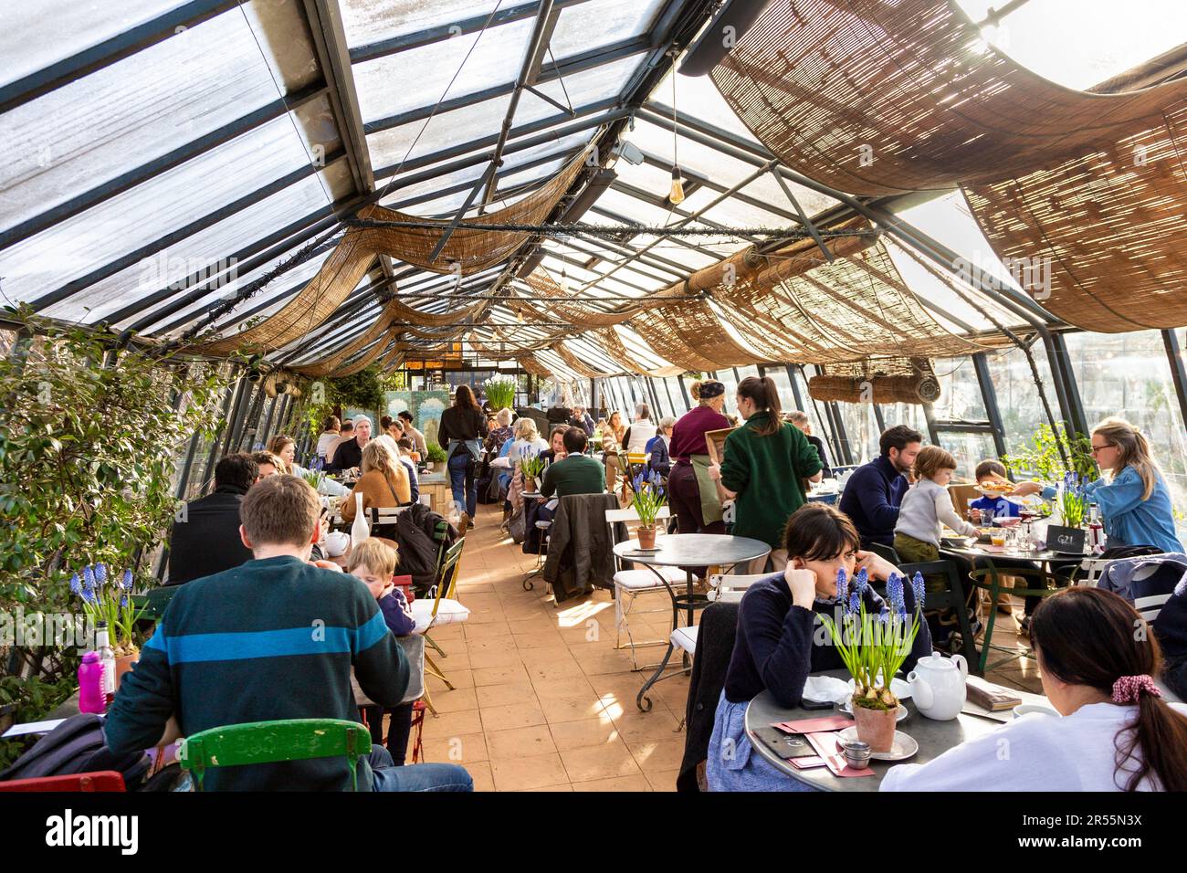 Interior Petersham Nurseries cafe, Richmond, London, UK Stock Photo - Alamy