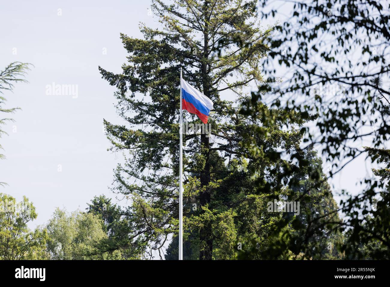 Bonn, Germany. 01st June, 2023. A flag of Russia flies in the garden of ...