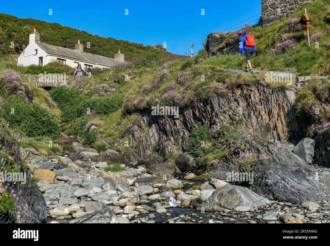 A picturesque scene in Pembrokeshire as people visit Aberfelin Cove in ...