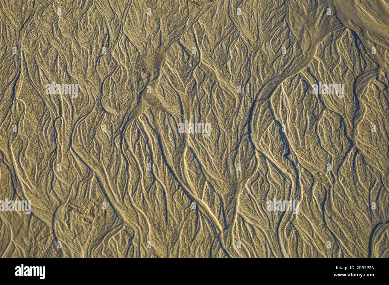 Natural patterns on sand created by water flow, Cléder, Brittany ...