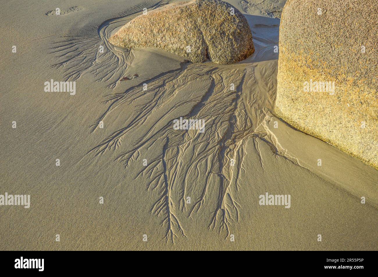 Natural patterns on sand created by water flow, Cléder, Brittany ...