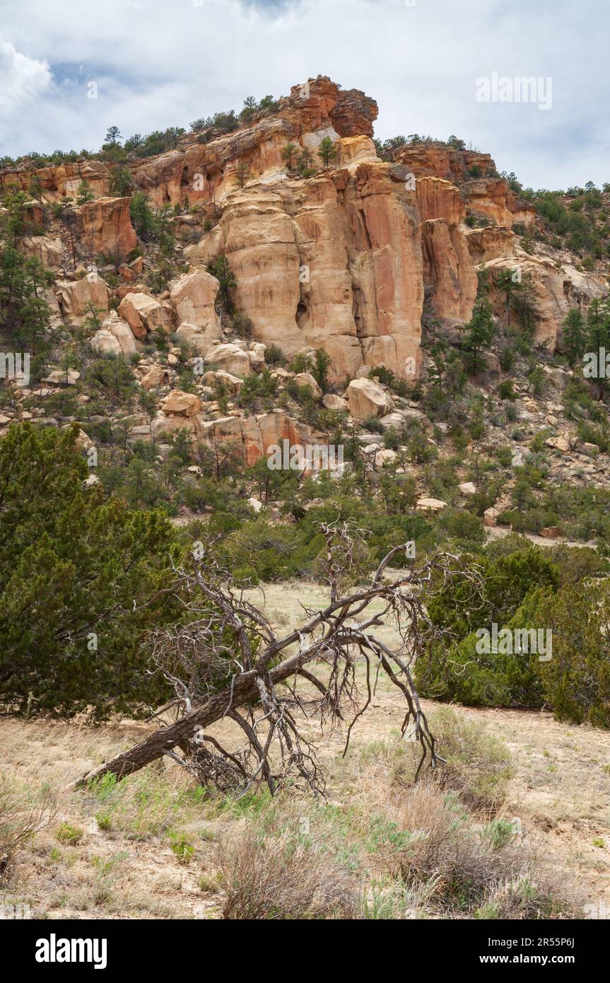 El Malpais National Monument in western New Mexico Stock Photo - Alamy