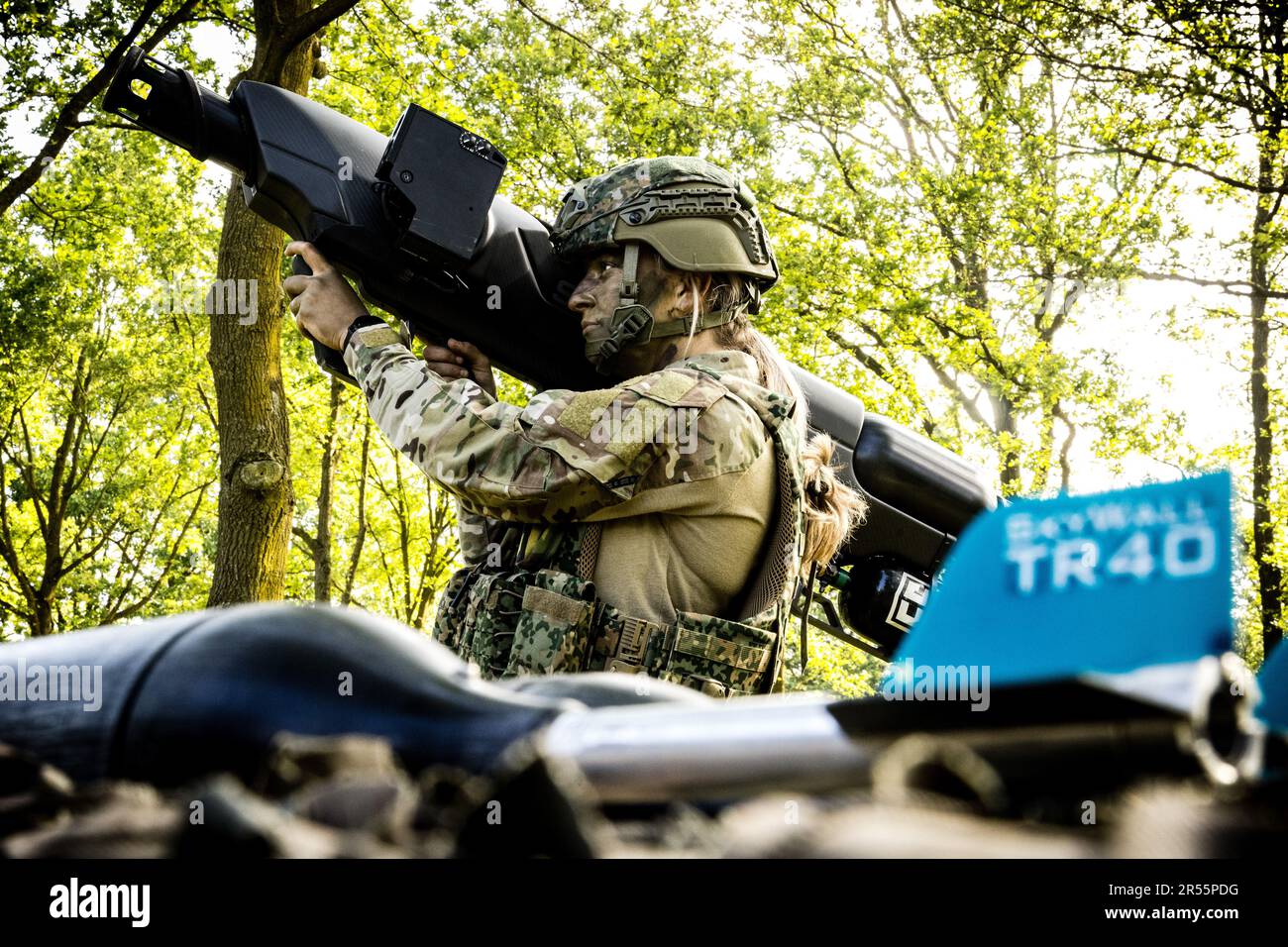 VREDEPEEL - A Counter Drone platoon during a ceremony at the Lieutenant ...