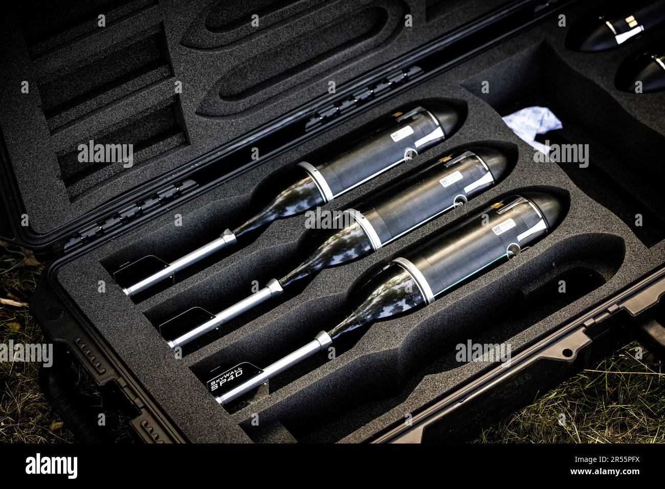 VREDEPEEL - A Counter Drone platoon during a ceremony at the Lieutenant ...