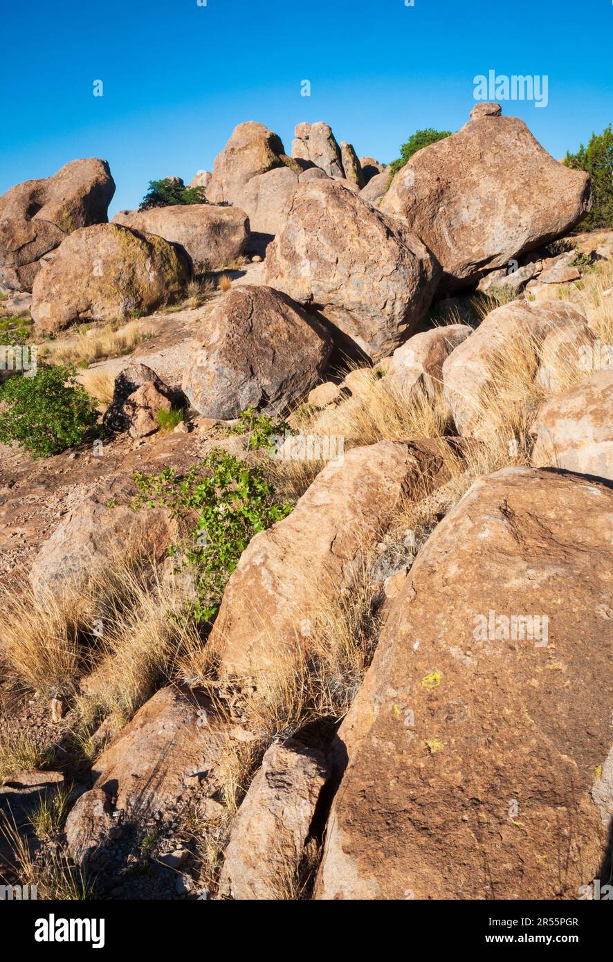 City of Rocks State Park, State park in the Faywood in New Mexico Stock ...