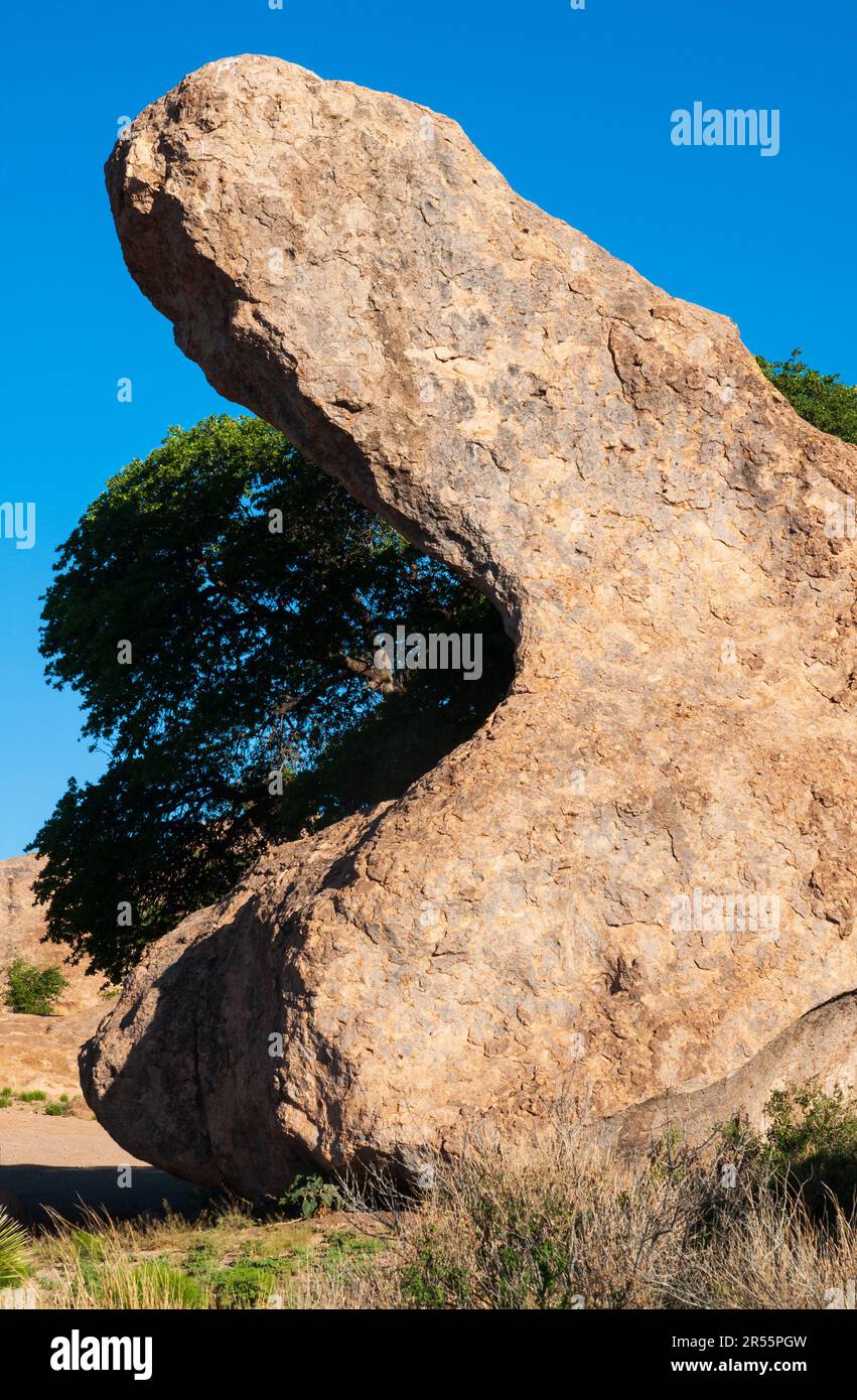 City of Rocks State Park, State park in the Faywood in New Mexico Stock ...