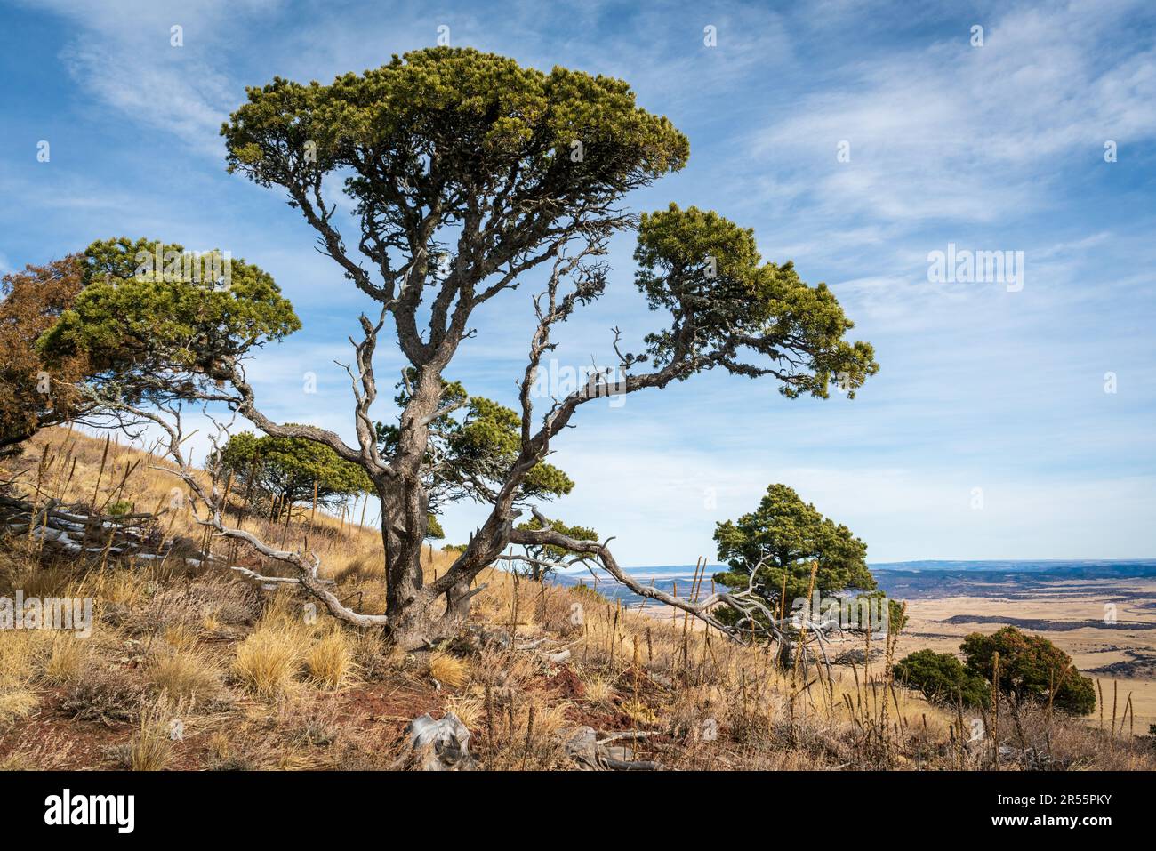 Capulin Volcano National Monument in New Mexico Stock Photo - Alamy