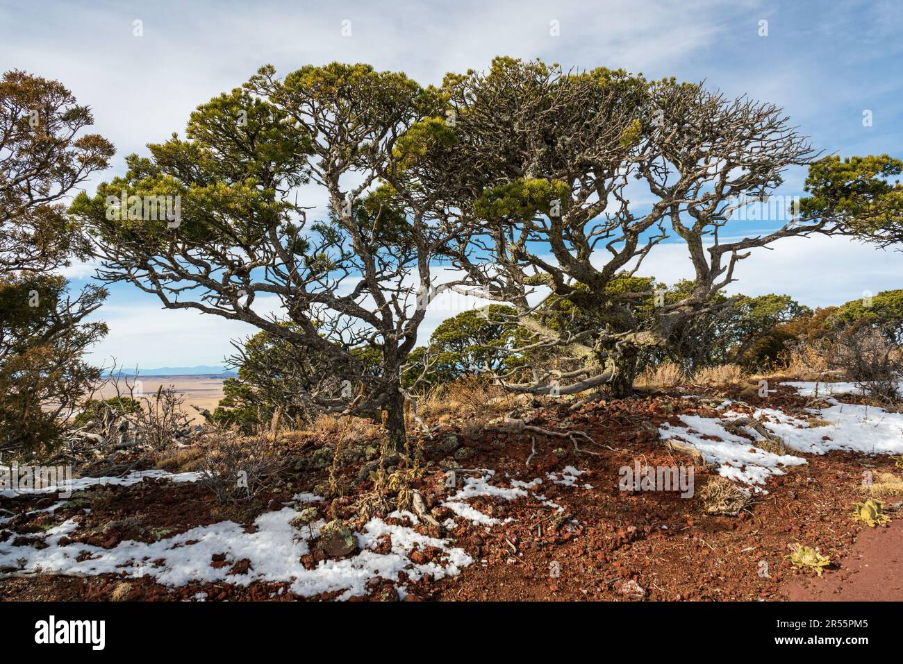 Capulin Volcano National Monument in New Mexico Stock Photo - Alamy