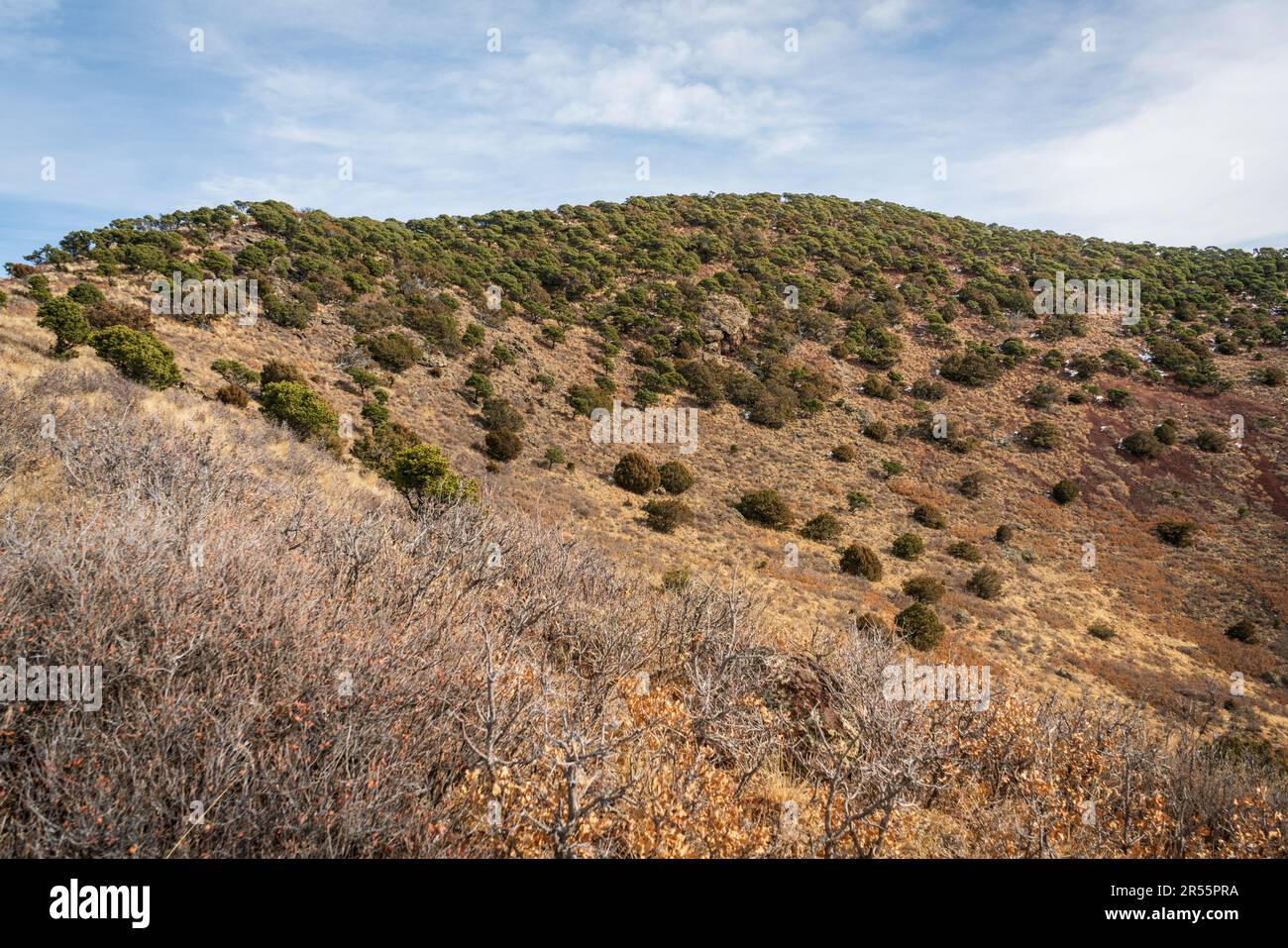 Capulin volcano park hi-res stock photography and images - Alamy
