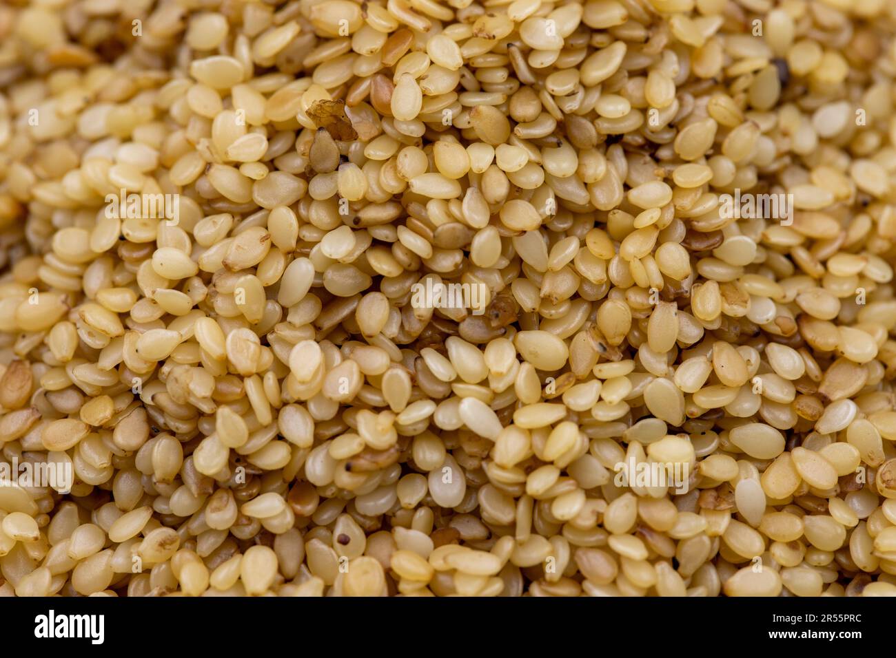 Pile of sesame seeds as background, spice or seasoning as background ...