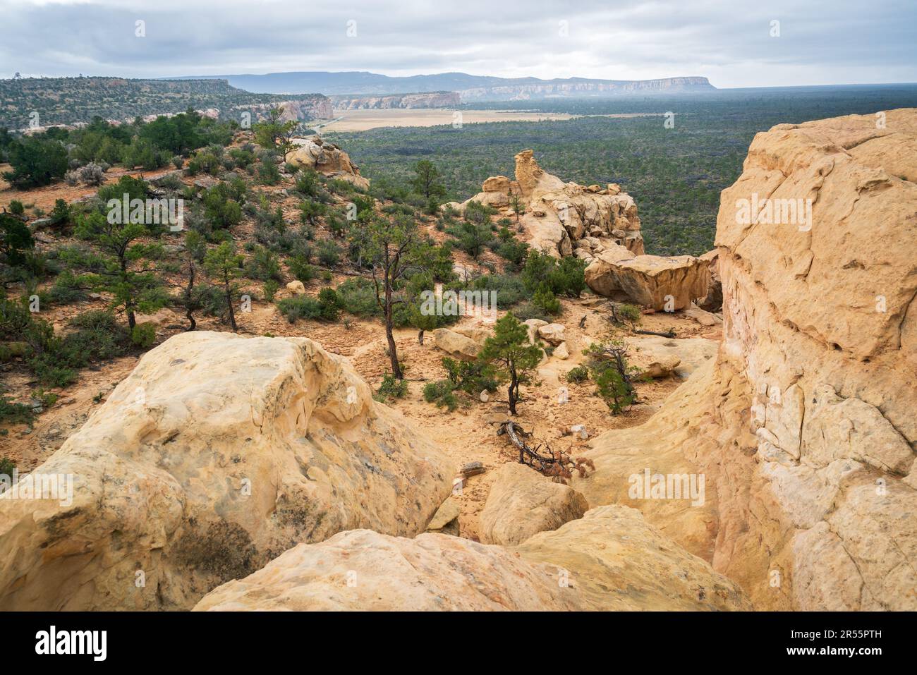 El Malpais National Monument in western New Mexico Stock Photo - Alamy