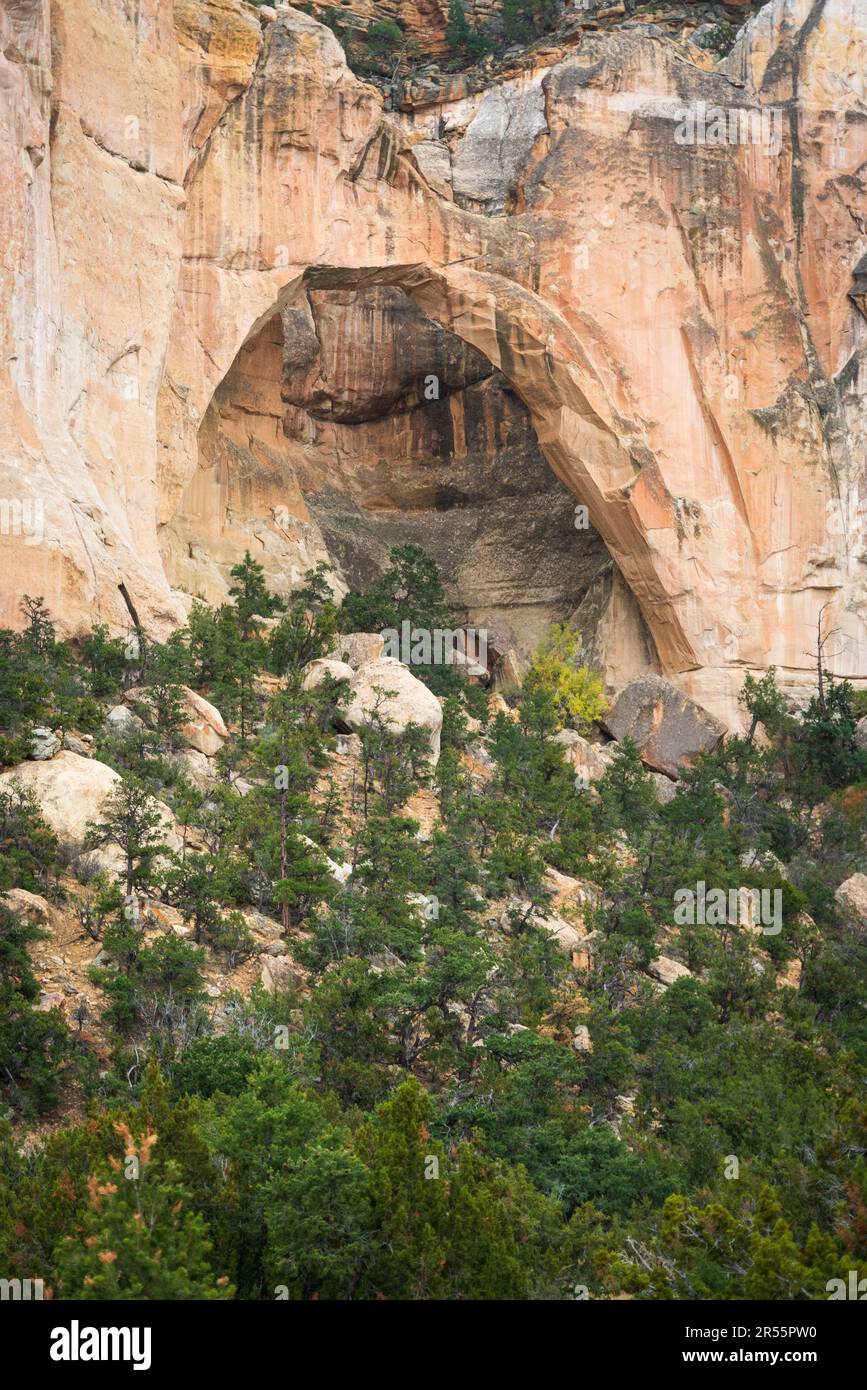 El Malpais National Monument in western New Mexico Stock Photo - Alamy
