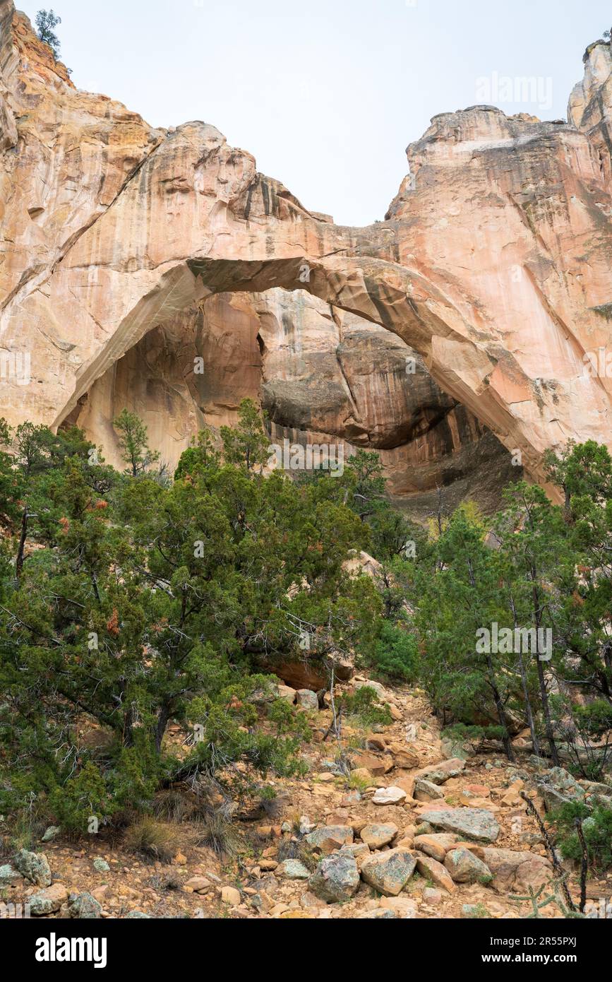 El Malpais National Monument in western New Mexico Stock Photo - Alamy