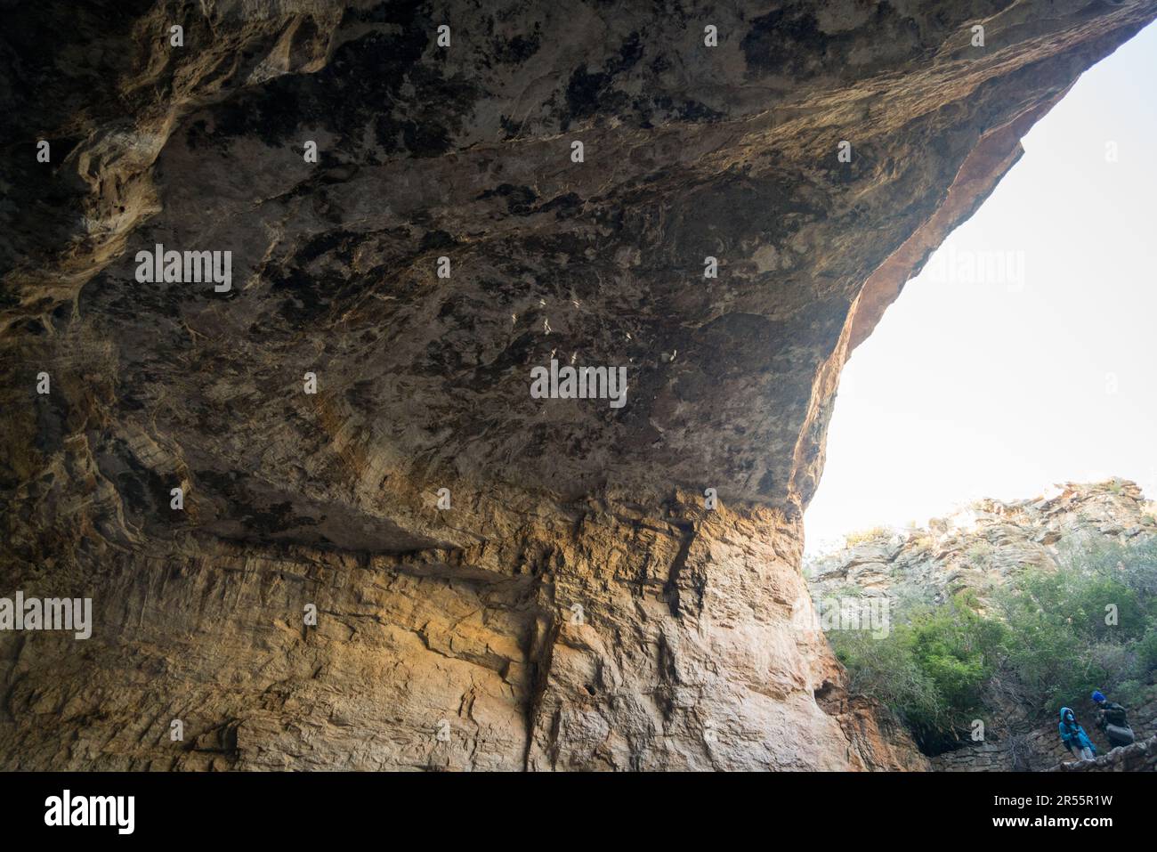 The Caves at Carlsbad Caverns National Park in New Mexico Stock Photo ...