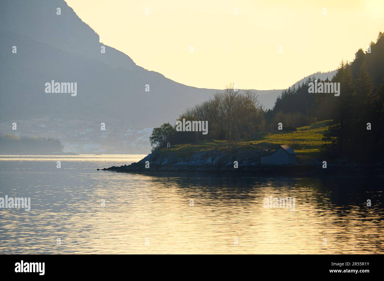 Diffuse light hi-res stock photography and images - Alamy