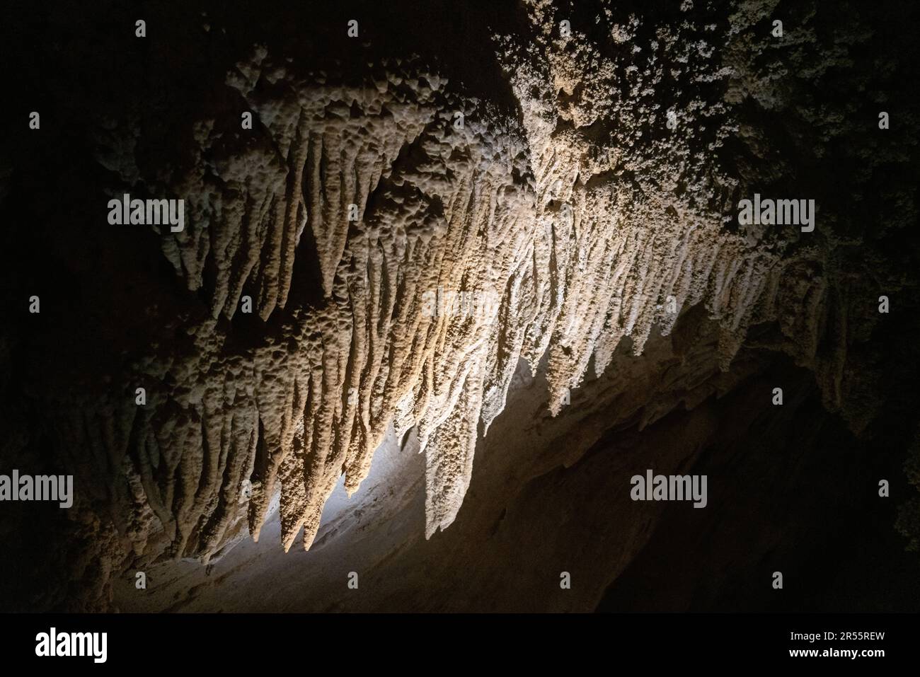The Caves at Carlsbad Caverns National Park in New Mexico Stock Photo ...