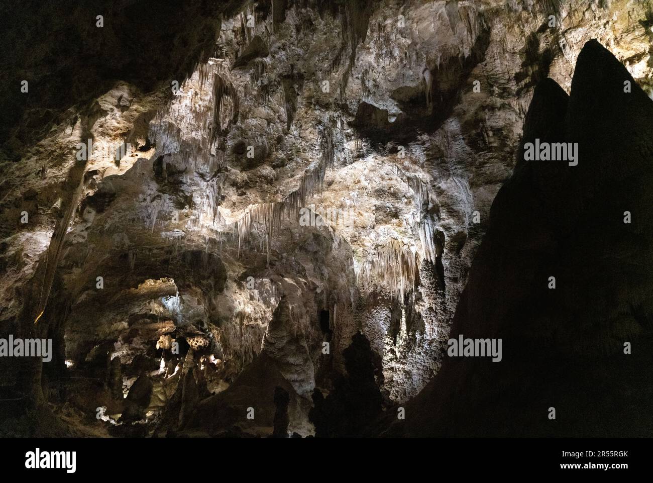 The Caves at Carlsbad Caverns National Park in New Mexico Stock Photo ...