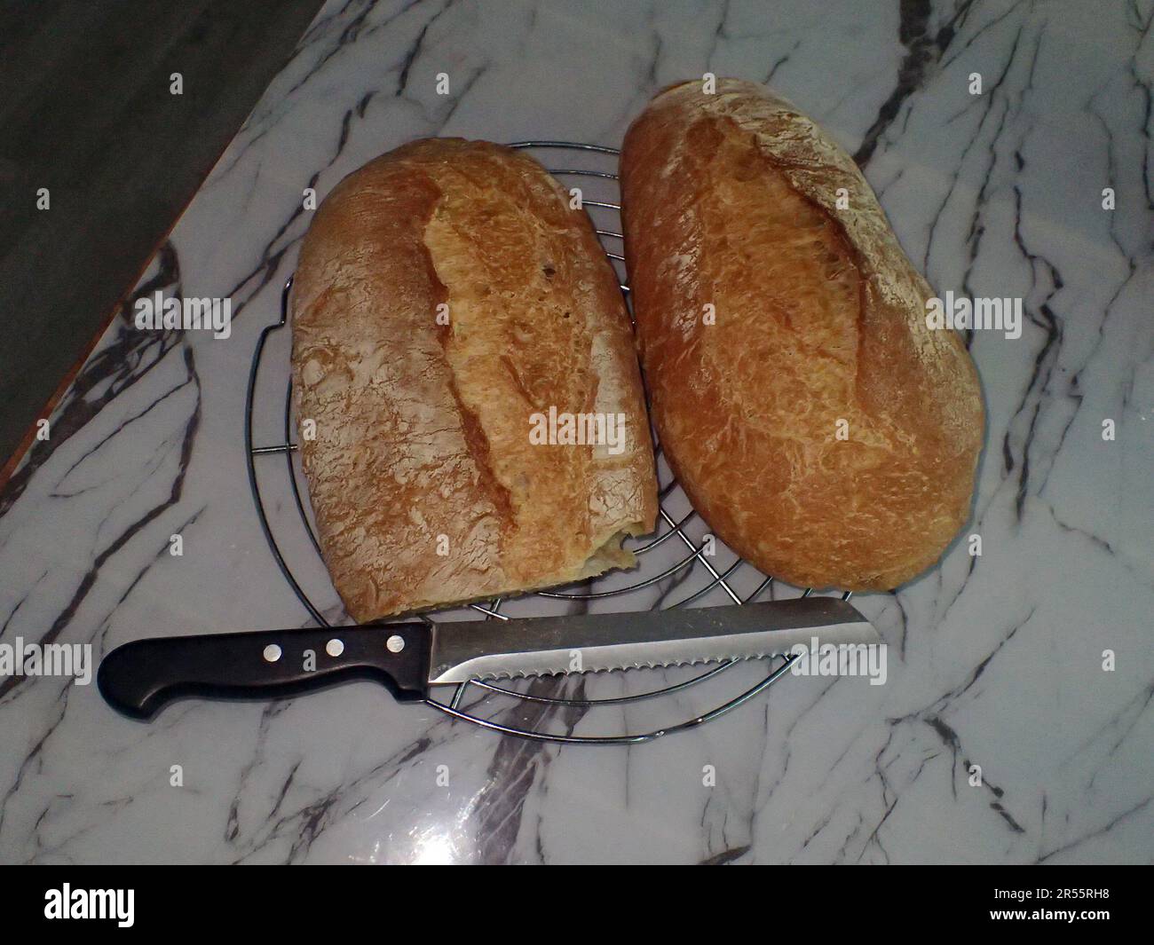 Close up bread beetle hi-res stock photography and images - Alamy