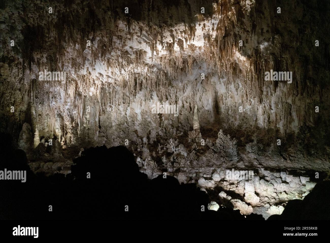 The Caves at Carlsbad Caverns National Park in New Mexico Stock Photo ...