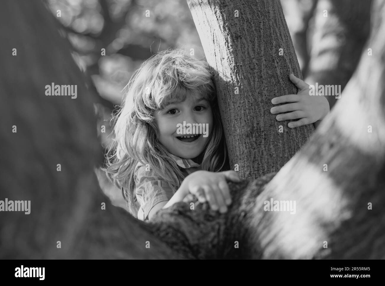Childhood leisure, happy kids climbing up tree and having fun in summer ...