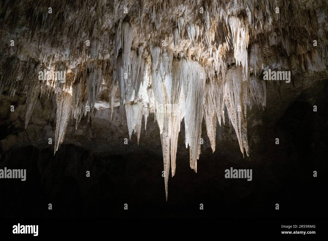 The Caves at Carlsbad Caverns National Park in New Mexico Stock Photo ...