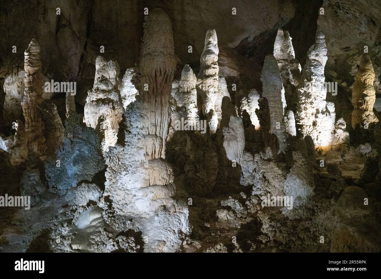 The Caves at Carlsbad Caverns National Park in New Mexico Stock Photo ...
