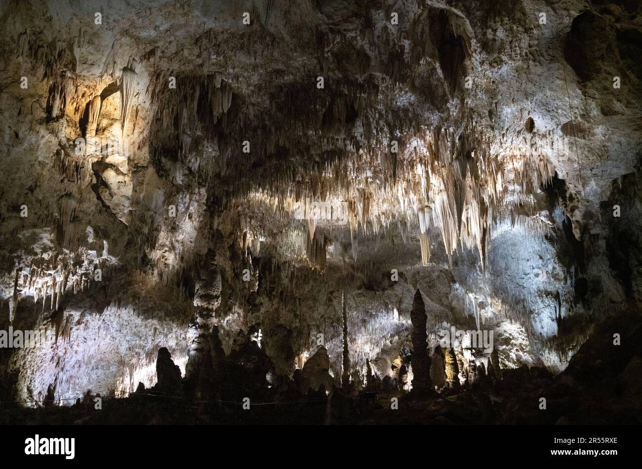 The Caves at Carlsbad Caverns National Park in New Mexico Stock Photo ...