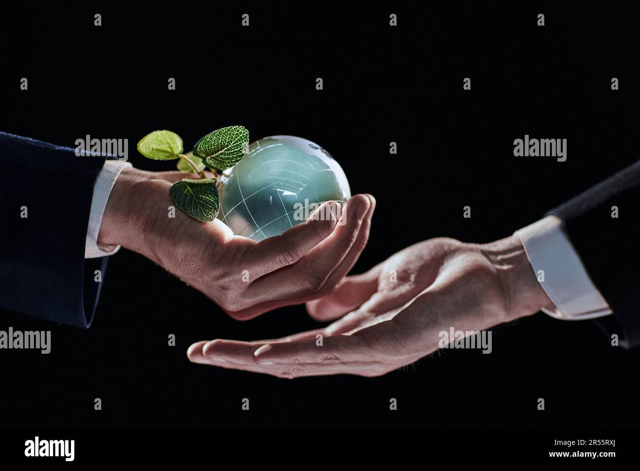 Plabt Growing inside a Sphere - Hand Holding - Eco Concept Stock Photo ...