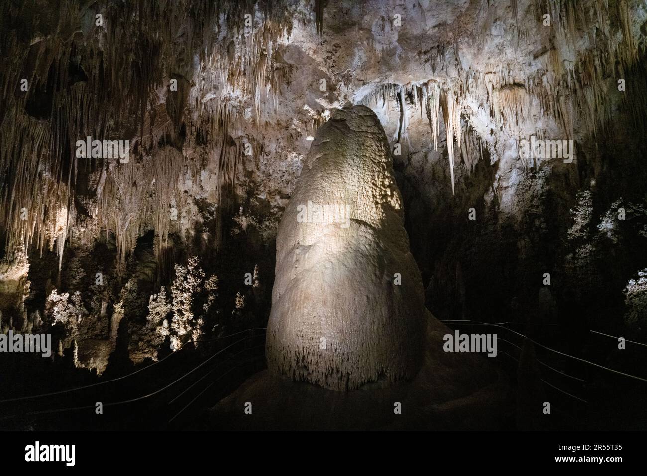 The Caves at Carlsbad Caverns National Park in New Mexico Stock Photo ...