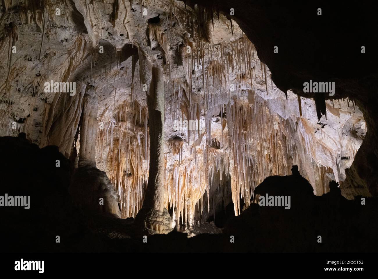 The Caves at Carlsbad Caverns National Park in New Mexico Stock Photo ...