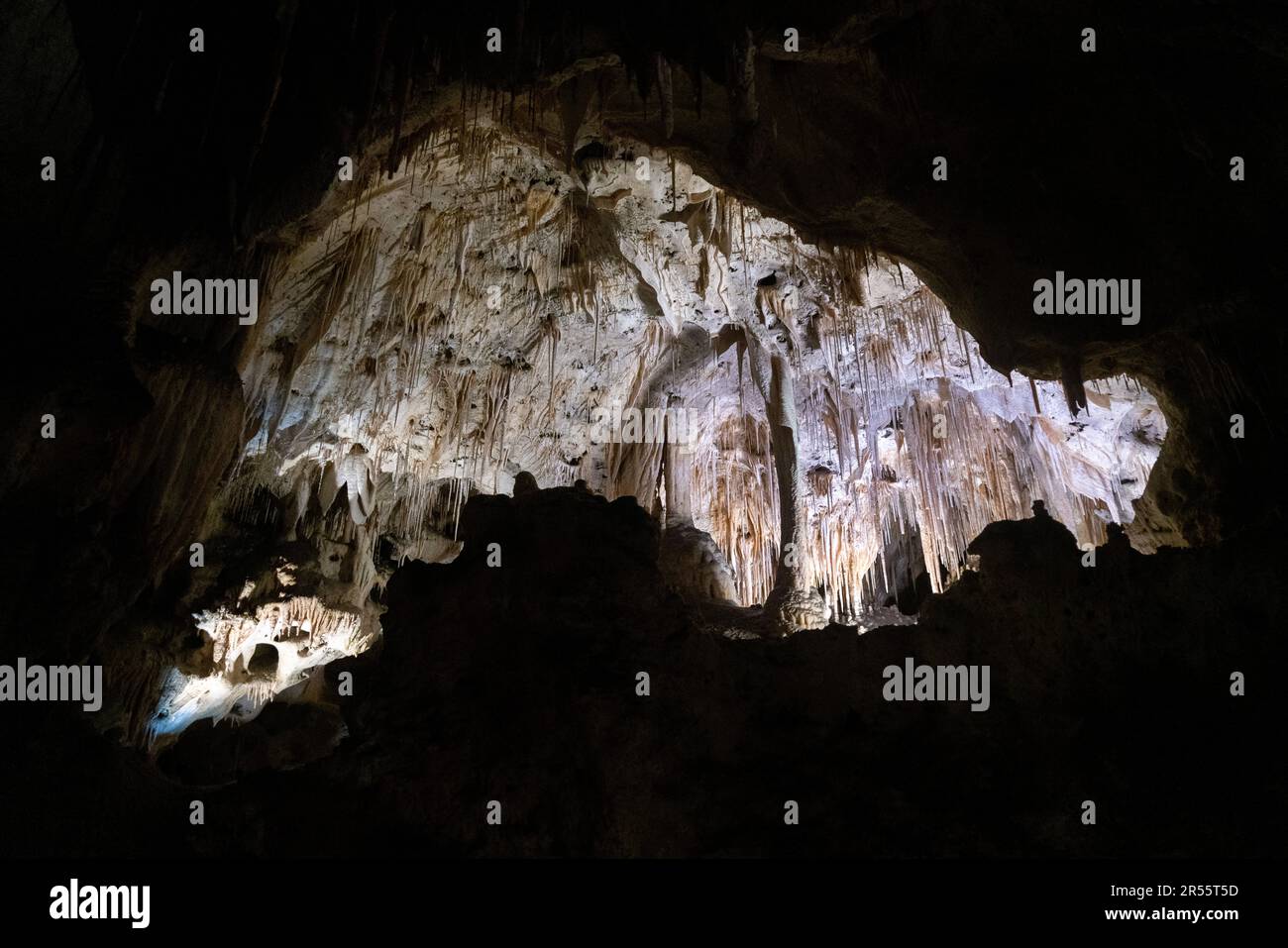 The Caves at Carlsbad Caverns National Park in New Mexico Stock Photo ...