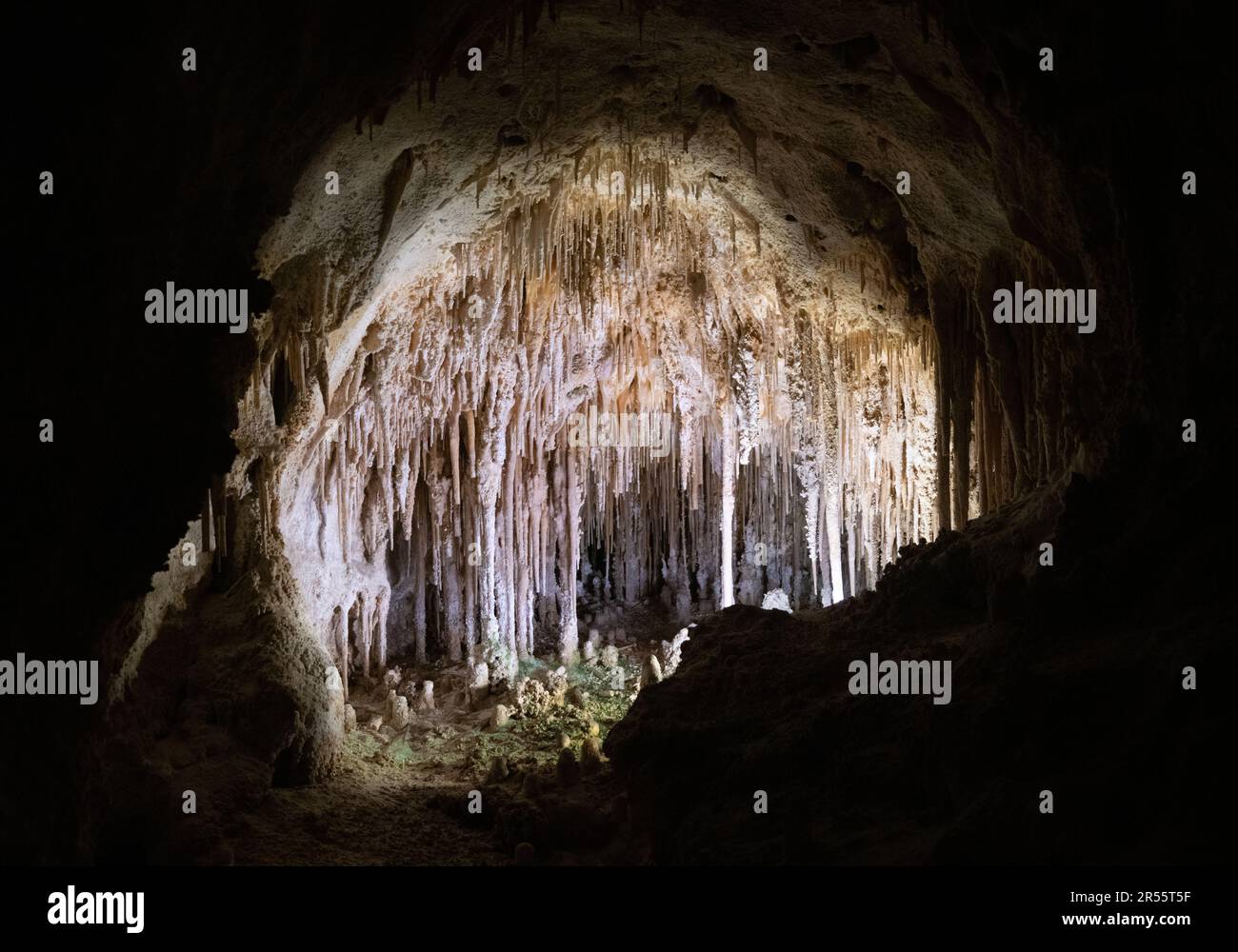 The Caves at Carlsbad Caverns National Park in New Mexico Stock Photo ...