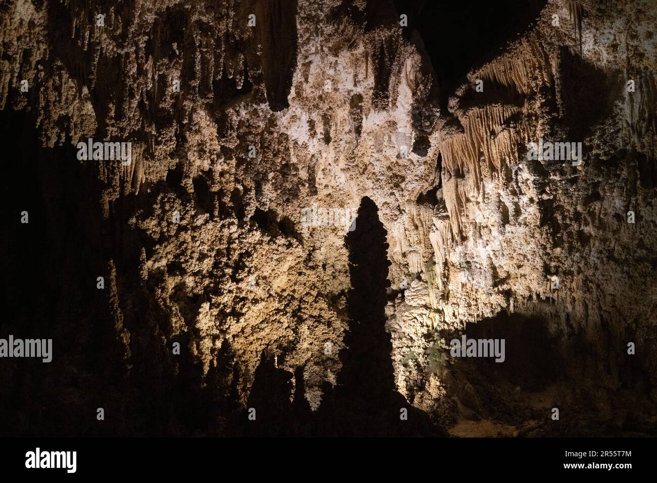 The Caves at Carlsbad Caverns National Park in New Mexico Stock Photo ...