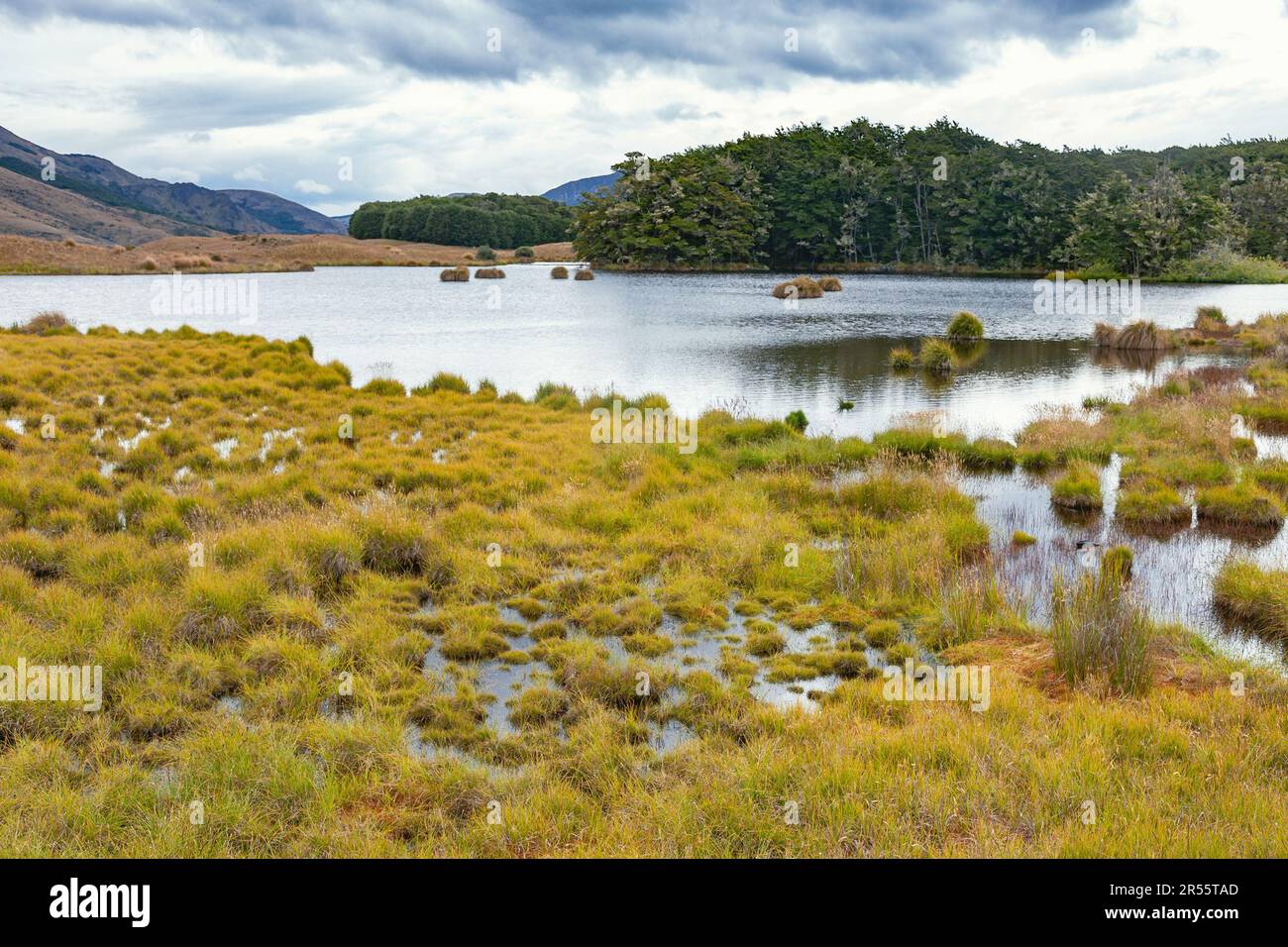 Mavora Lakes protected area, a part of Te Wahipounamu World Heritage ...