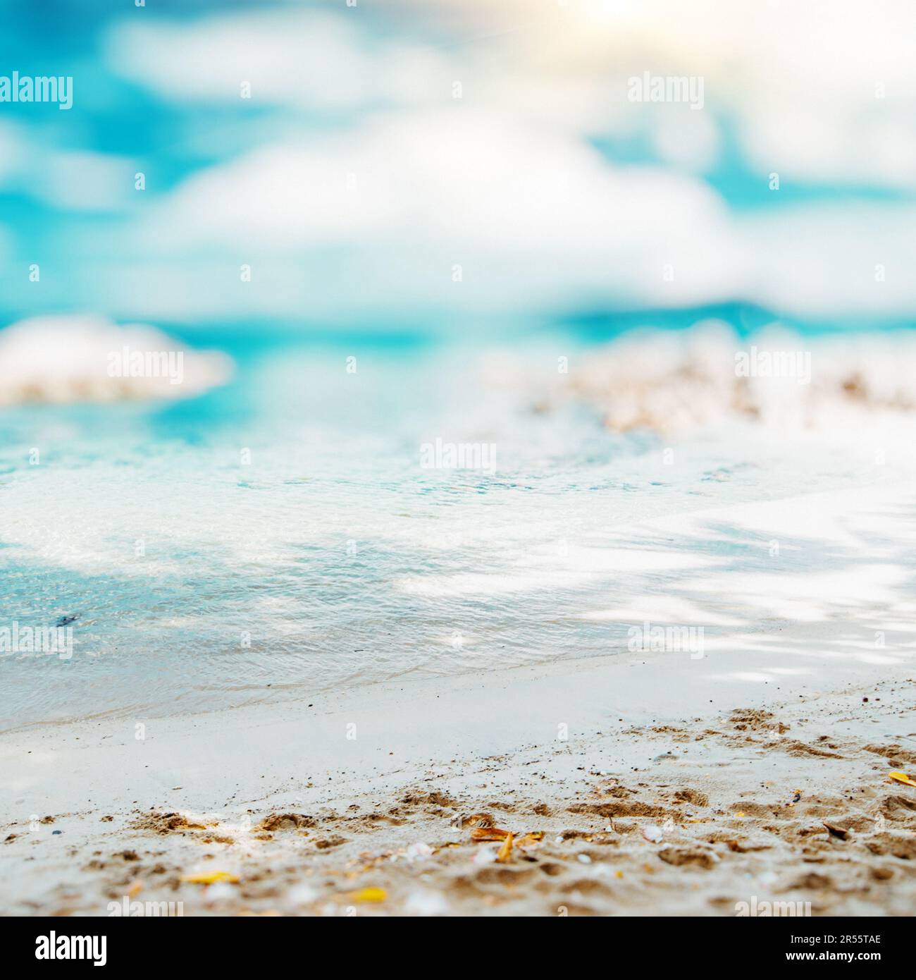 Tropical lost beach summer background Stock Photo - Alamy