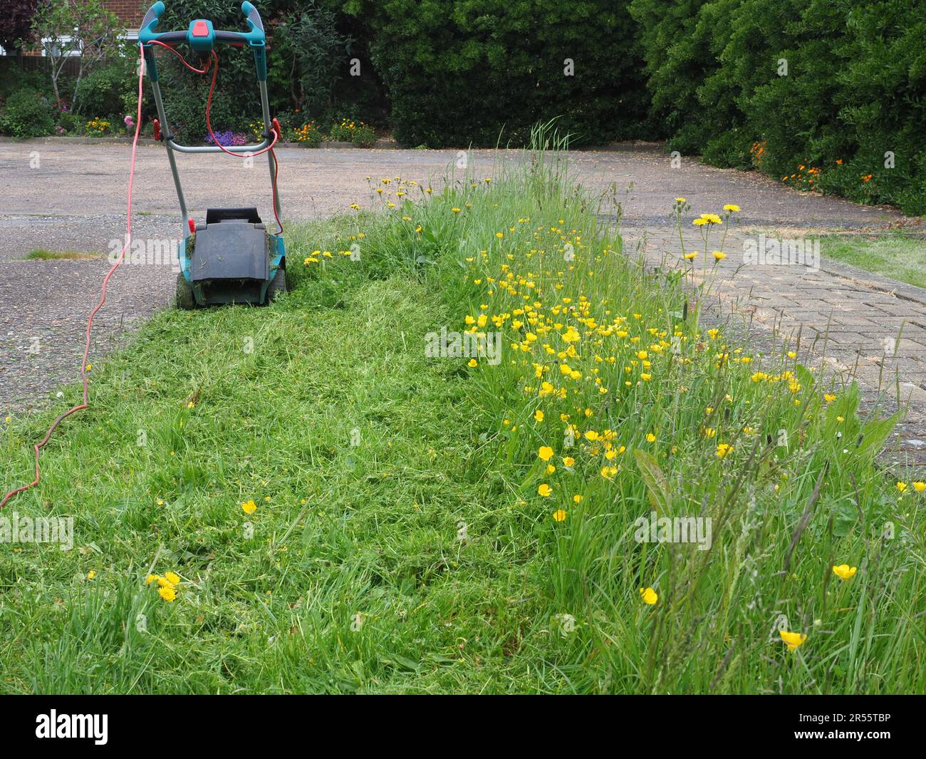 No mow may 2023 hi-res stock photography and images - Alamy