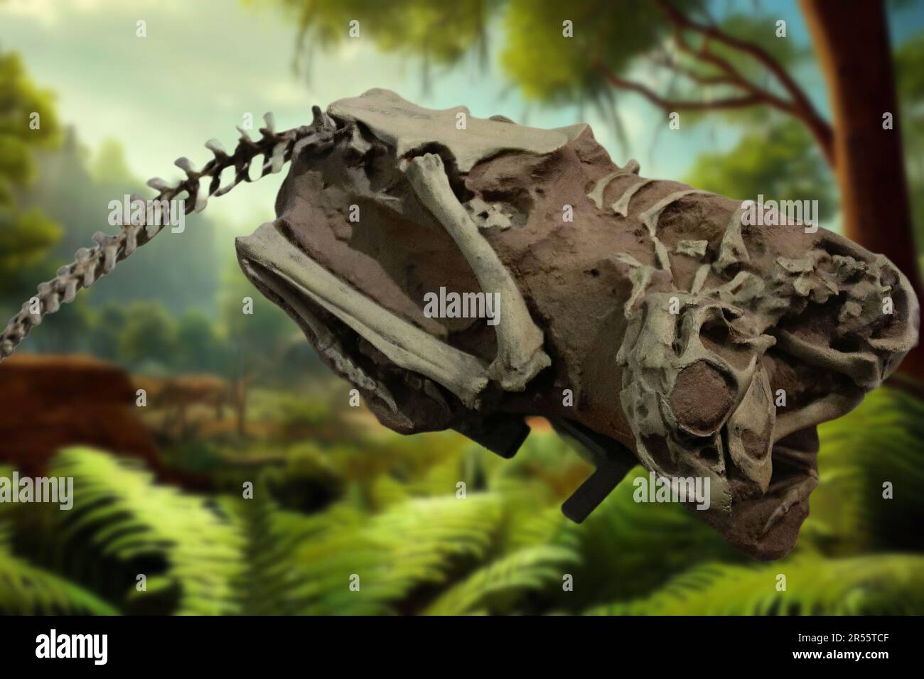 Oviraptor was a bipedal dinosaur that lived in Asia in the Late ...