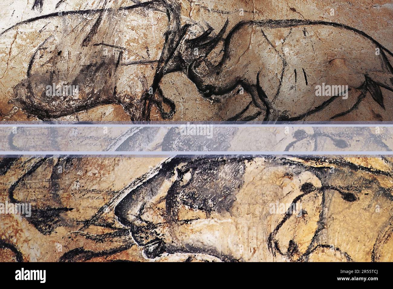 Paleolithic wall art in the famous Grotte Chauvet in France one of the ...