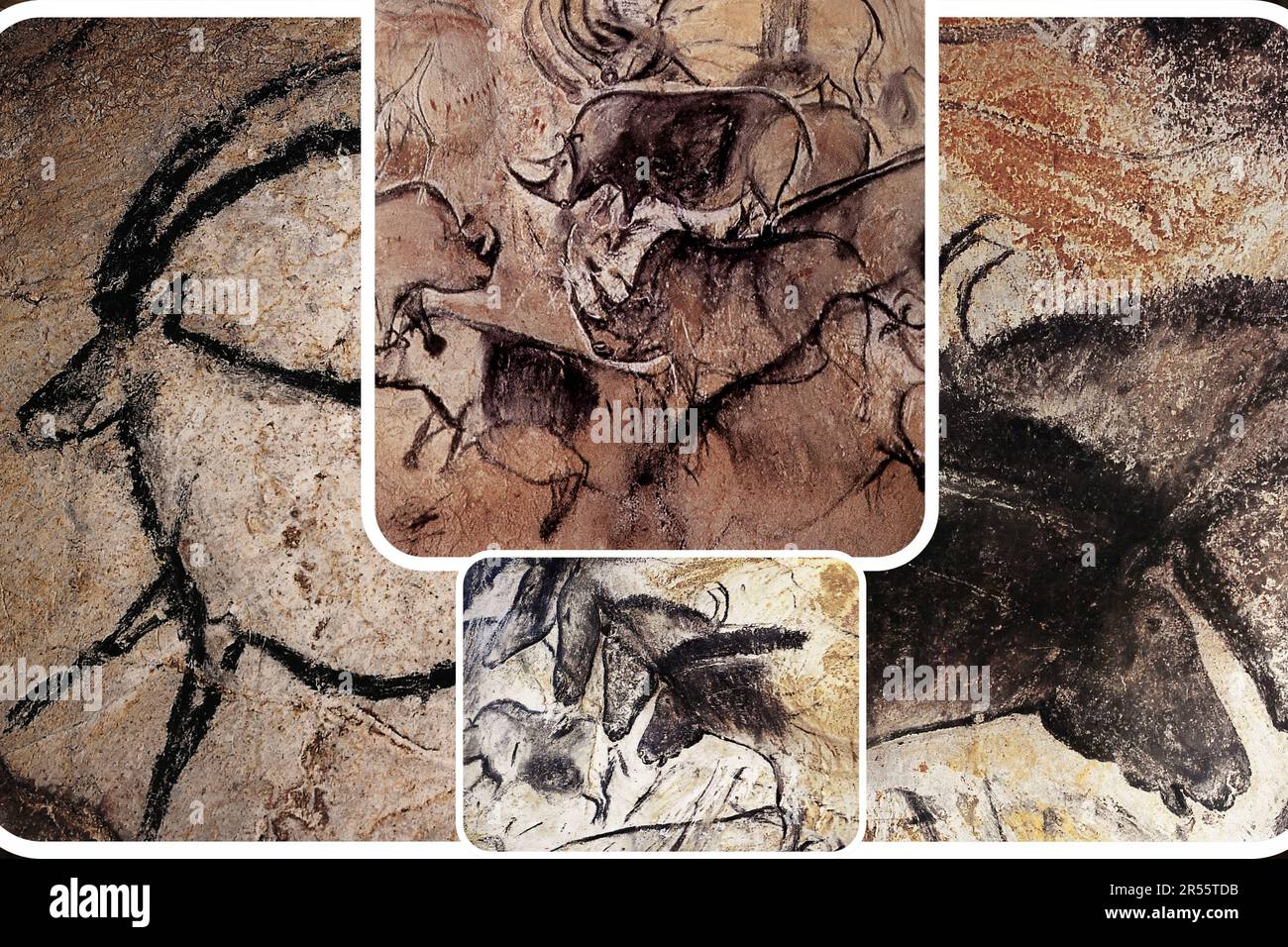 Paleolithic wall art in the famous Grotte Chauvet in France one of the ...