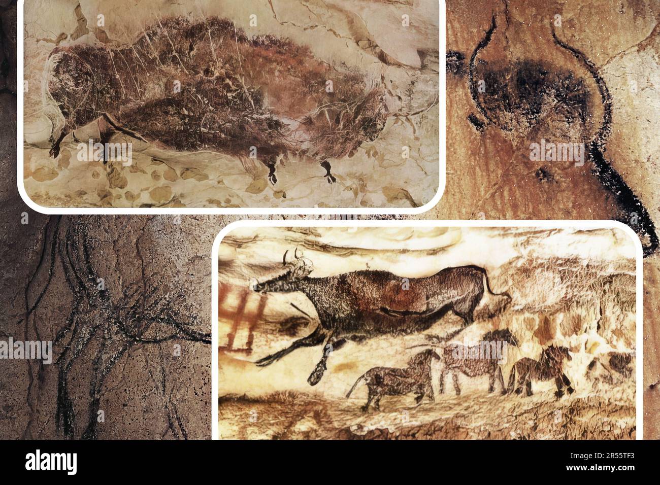 Paleolithic wall art in the famous Grotte Chauvet in France one of the ...