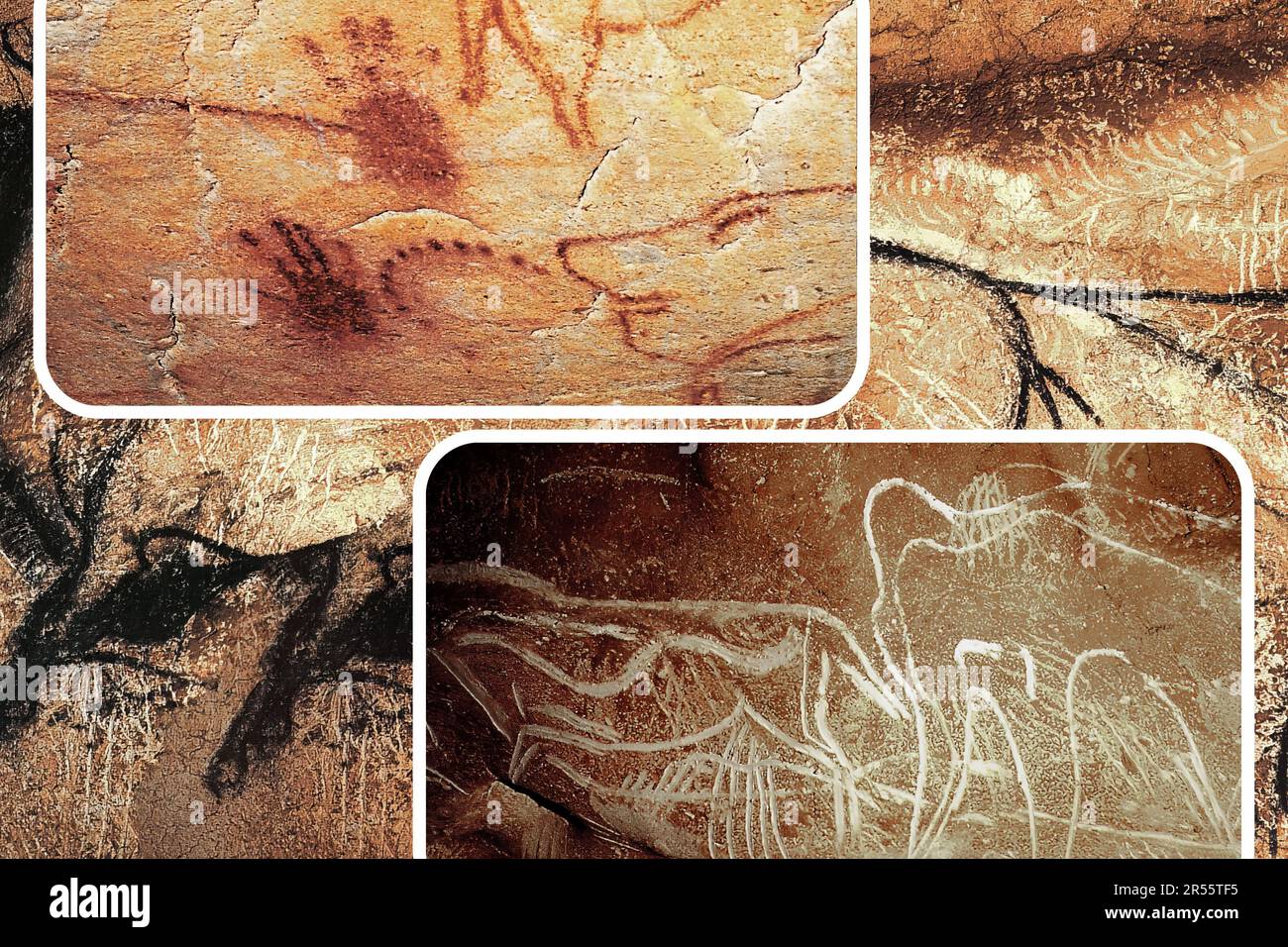 Paleolithic wall art in the famous Grotte Chauvet in France one of the ...