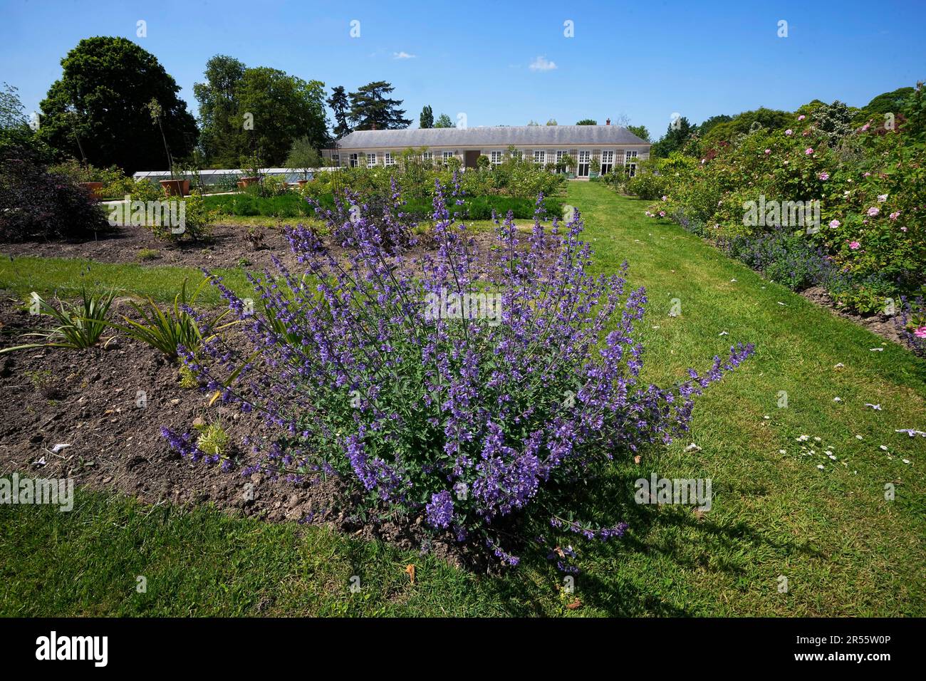 A view of the perfume gardens of the Chateau de Versailles, west of ...