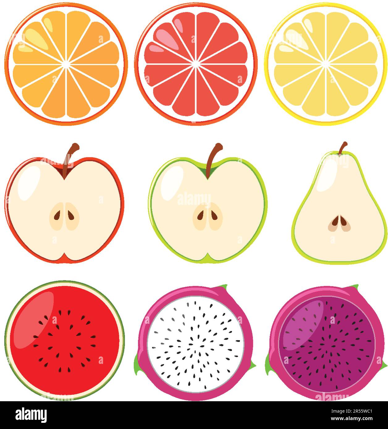 A collection of different fruits illustration Stock Vector Image & Art ...