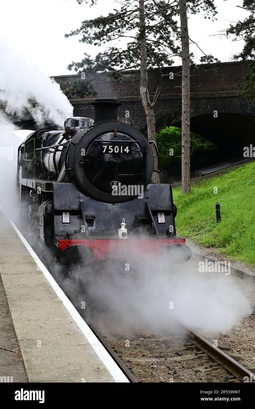 Visiting BR Standard class 4 No 75014 Braveheart taking water at ...