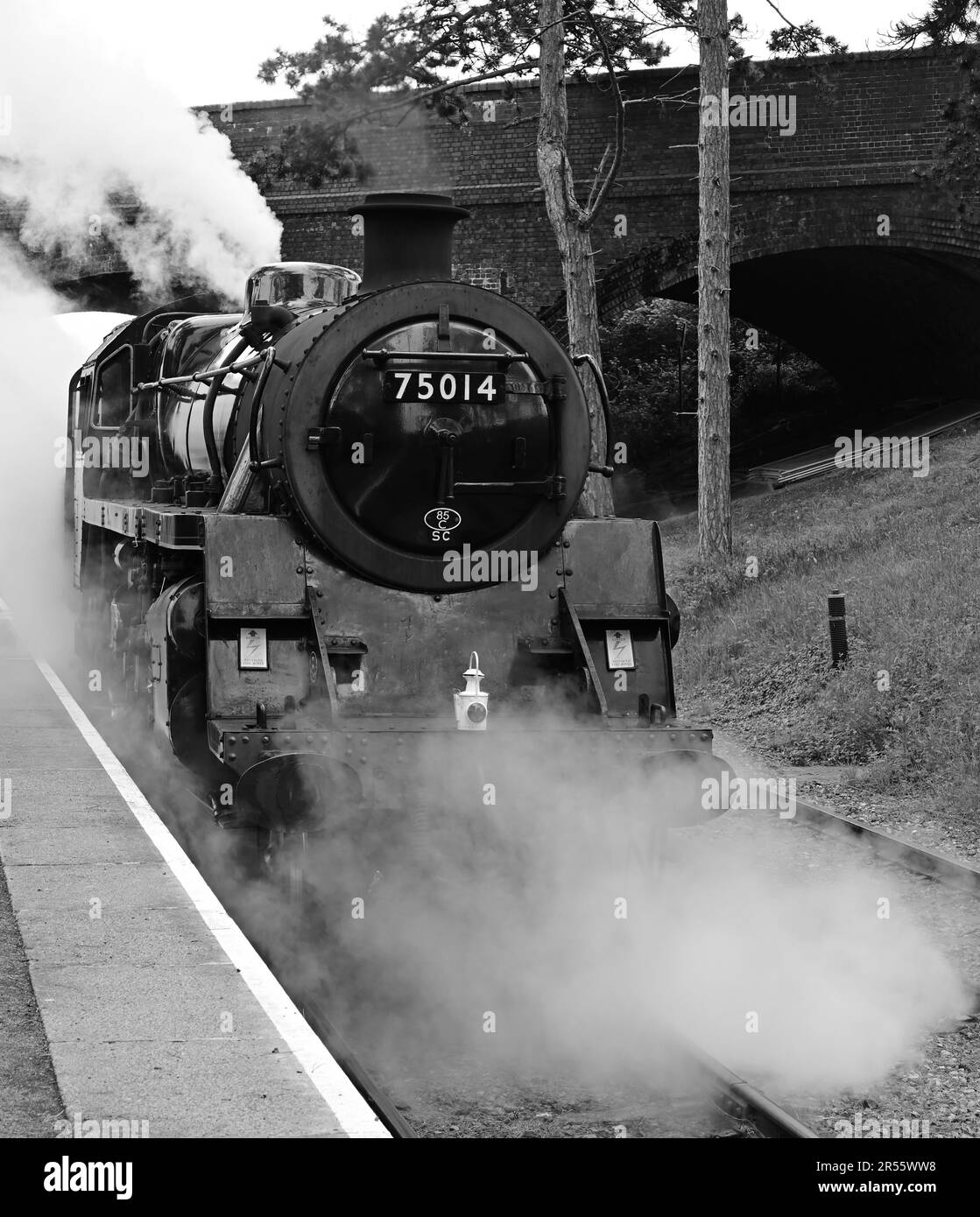 Visiting BR Standard class 4 No 75014 Braveheart taking water at ...