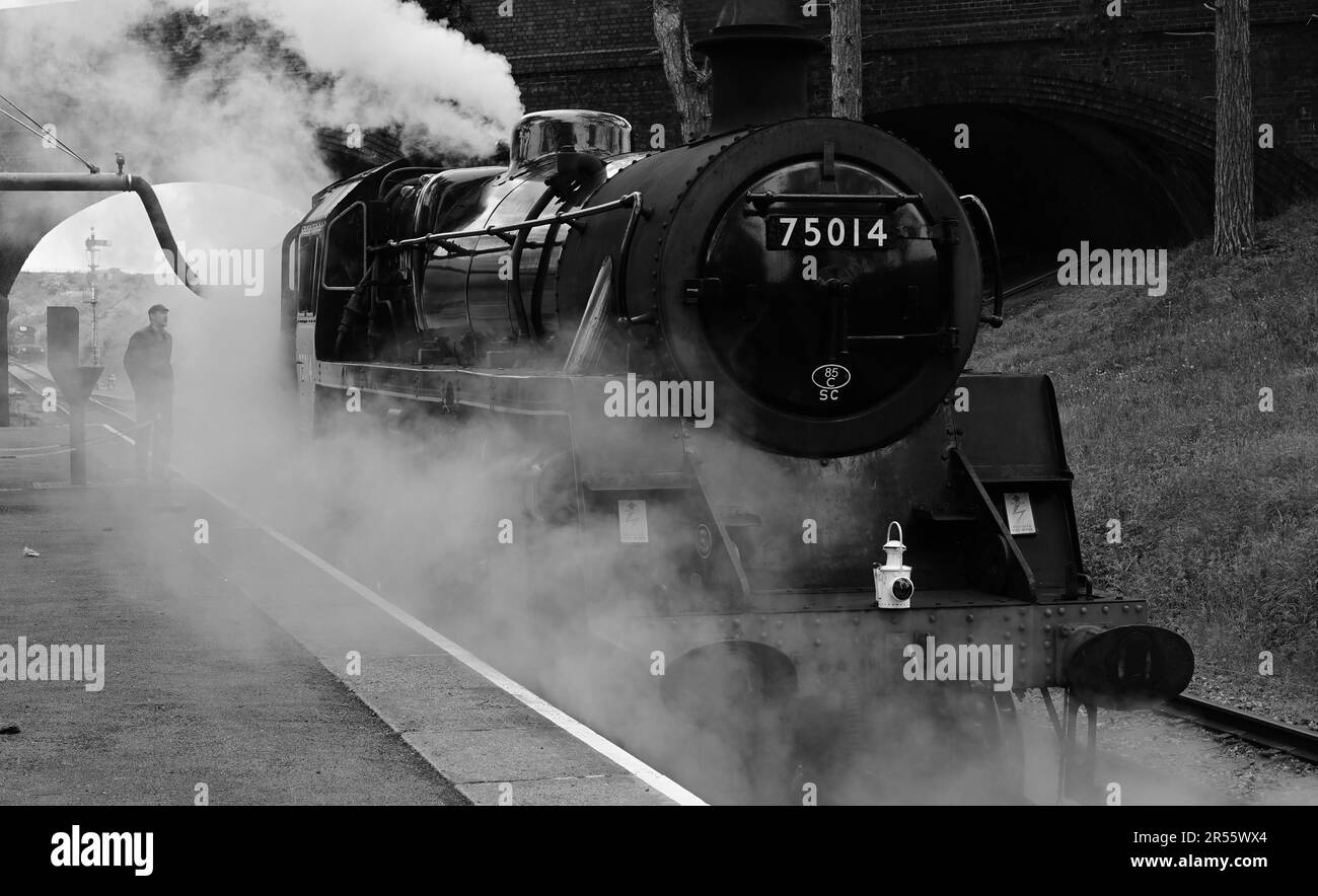 Visiting BR Standard class 4 No 75014 Braveheart taking water at ...