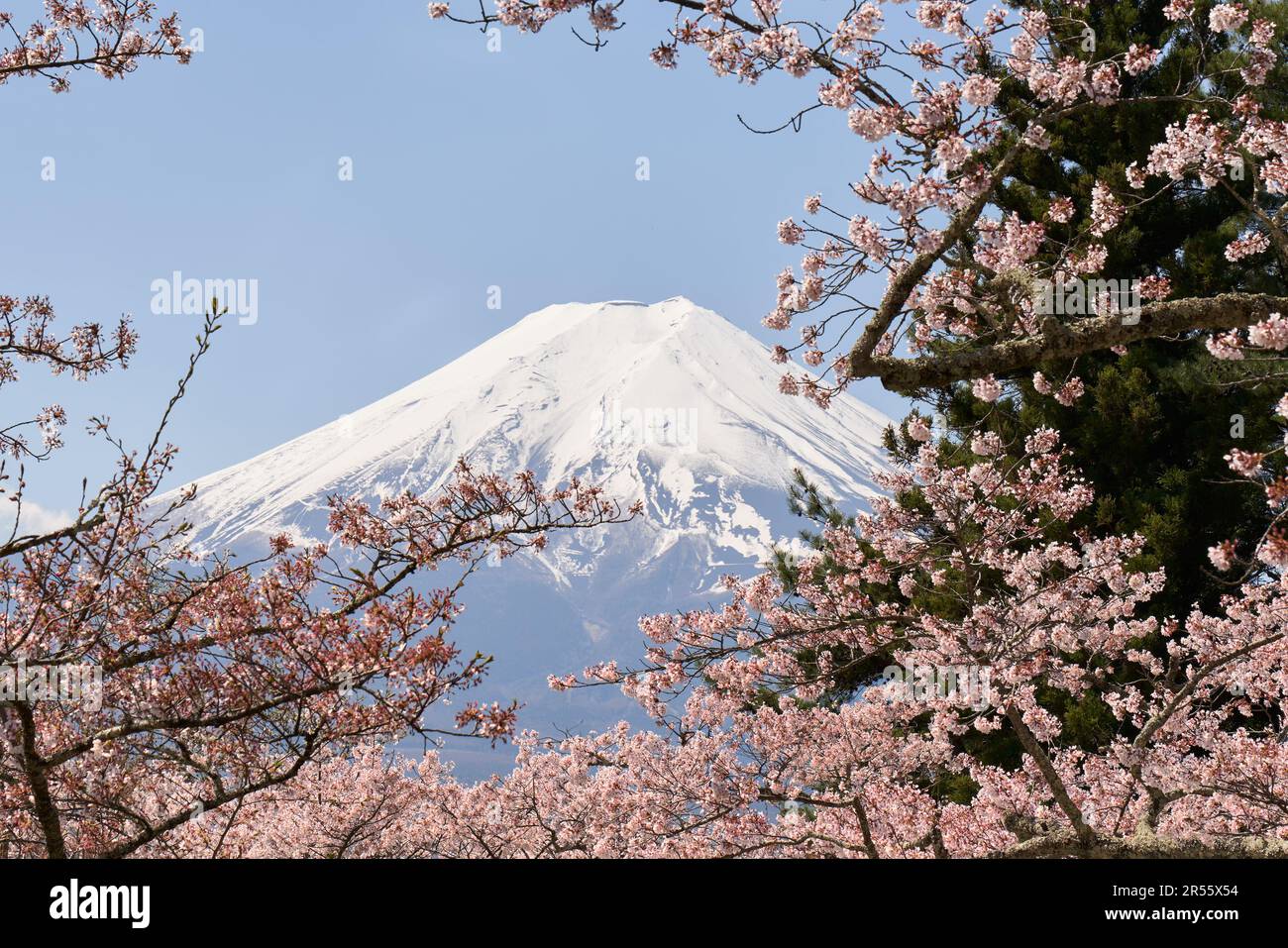 Fuji with clear blue sky 1 Stock Photo - Alamy