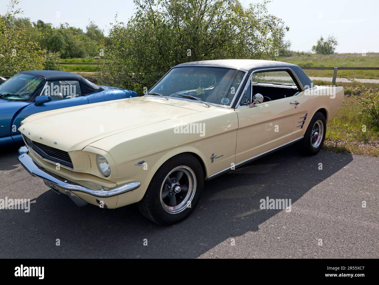 Three-quarters Front view of a Yellow, 1966, Ford Mustang 289, on ...