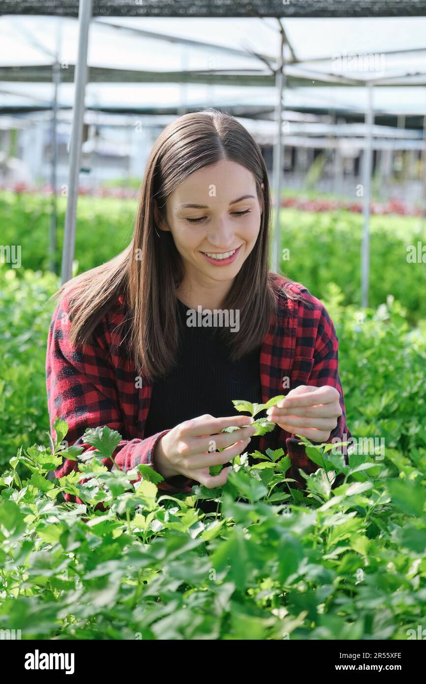 Beautiful female farm owner smiling friendly at the organic vegetable ...